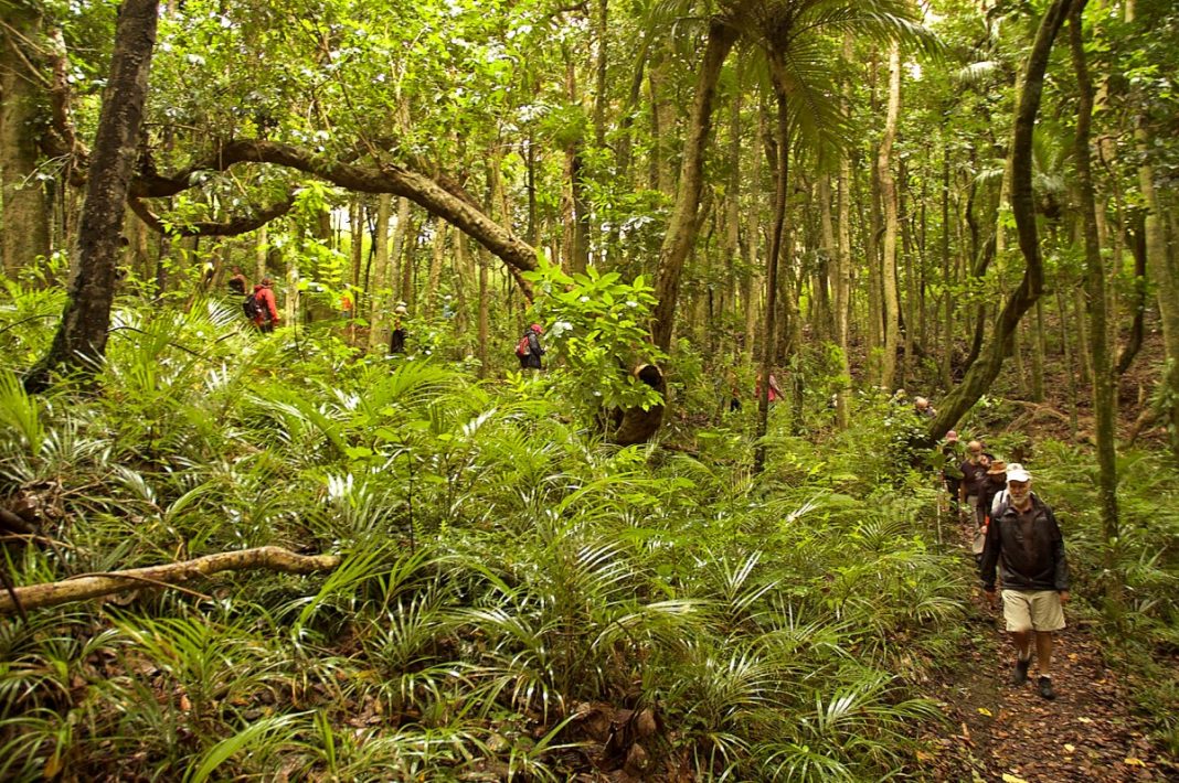 Te Matuku story on Country Calendar - Waiheke Gulf News