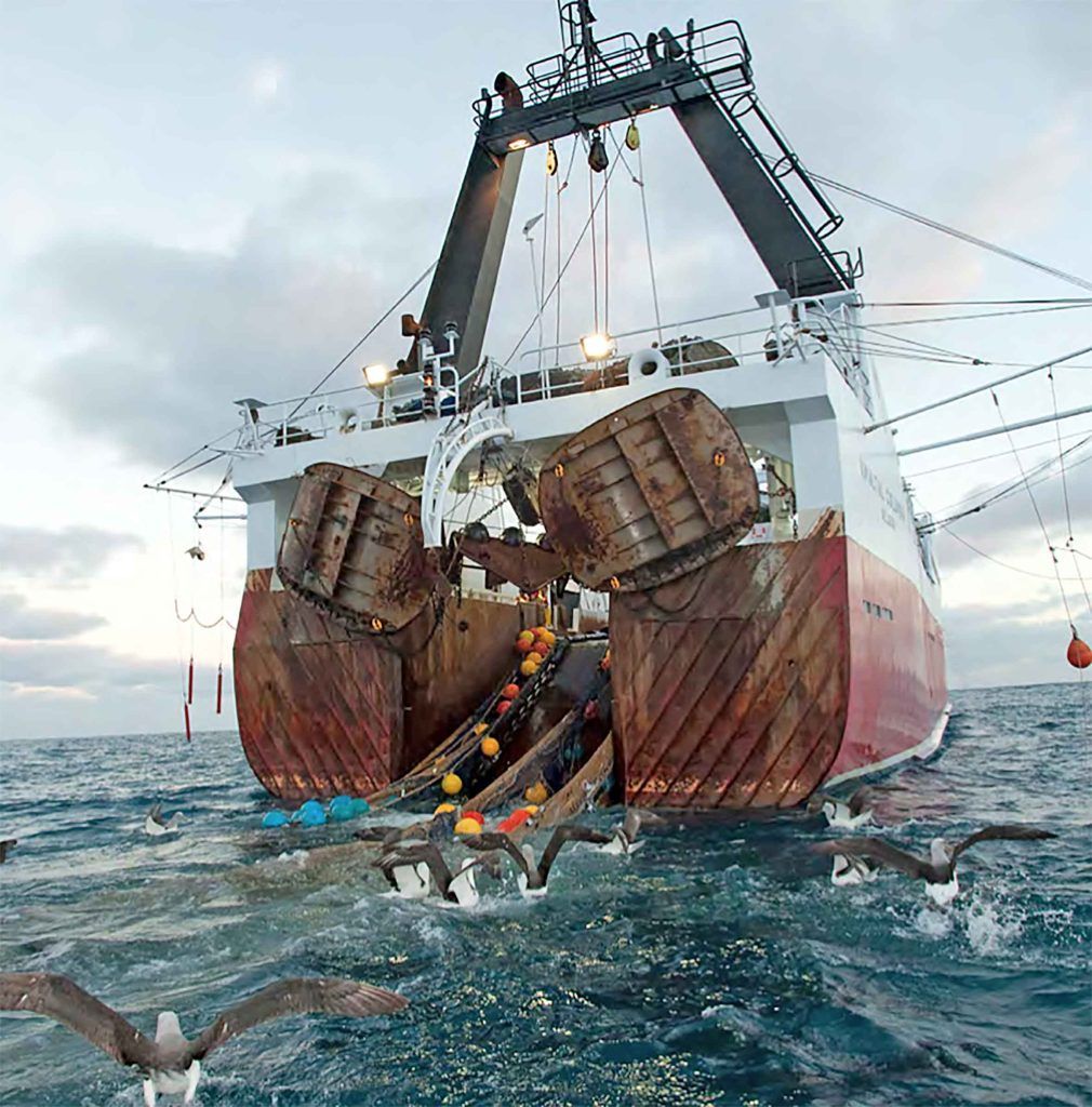 Fisheries plan ignores anti-bottom trawling protest - Waiheke Gulf News