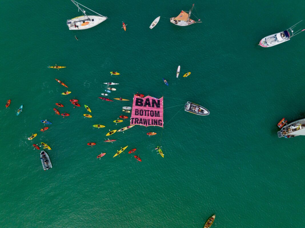 Call to join Show Your Heart flotilla to ban bottom trawling - Waiheke ...